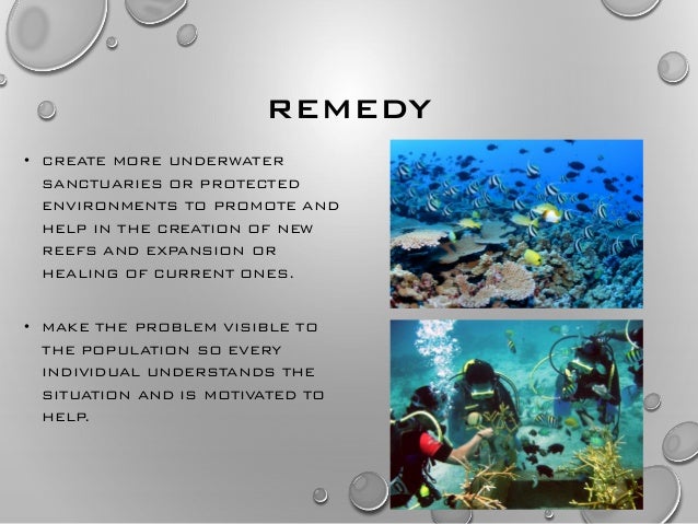 Reef ecosystems and their decline