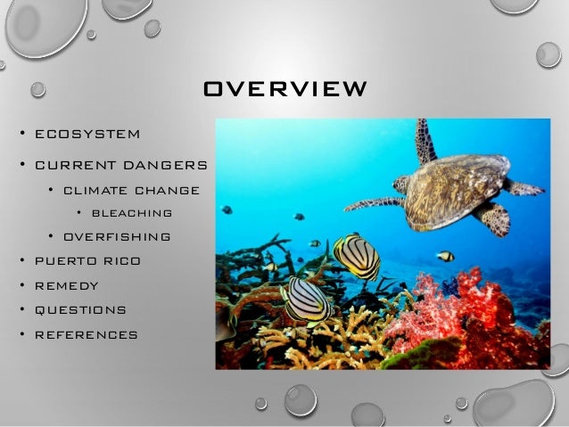 Reef ecosystems and their decline