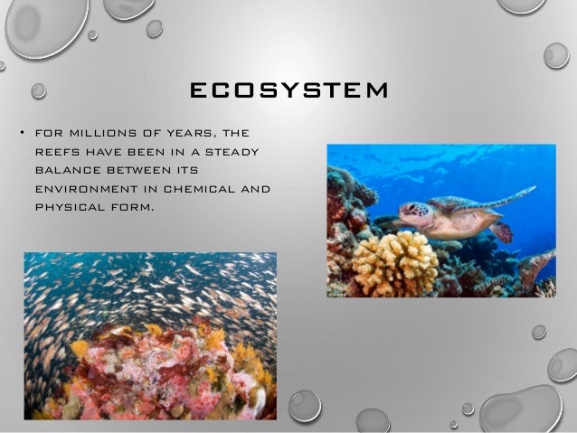 Reef ecosystems and their decline