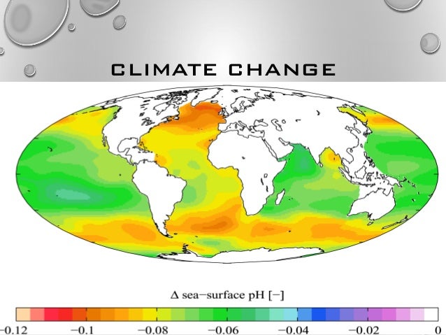 Reef ecosystems and their decline