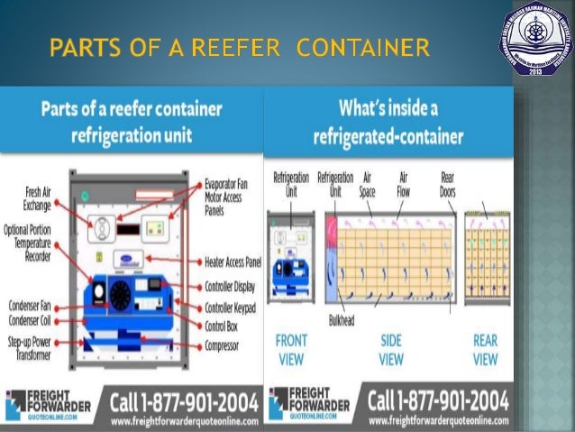 Reefer container market
