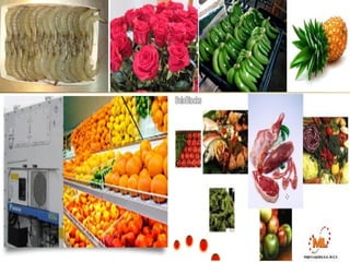 Reefer shipping | PPT