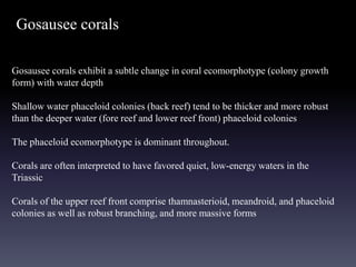 Reeffacies ppt | PPTX