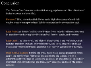 Reeffacies ppt | PPTX