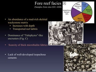 Reeffacies ppt | PPTX