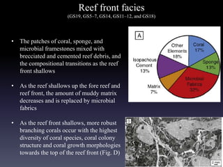 Reeffacies ppt | PPTX