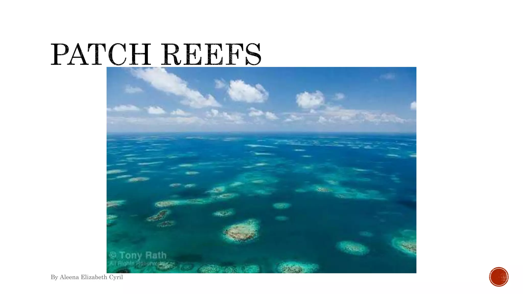 Coral Reef: Types | PPTX