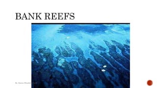 Coral Reef: Types | PPTX