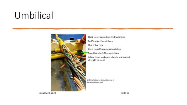 Reel and Umbilical Training for Subsea Hose Reels and Umbilicals | PPTX | Physics | Science