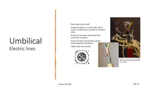 Reel and Umbilical Training for Subsea Hose Reels and Umbilicals | PPTX