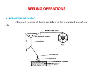Silk Reeling Devices.pptx