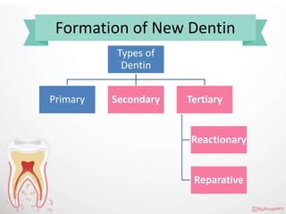 Reem hussam dentin | PPTX