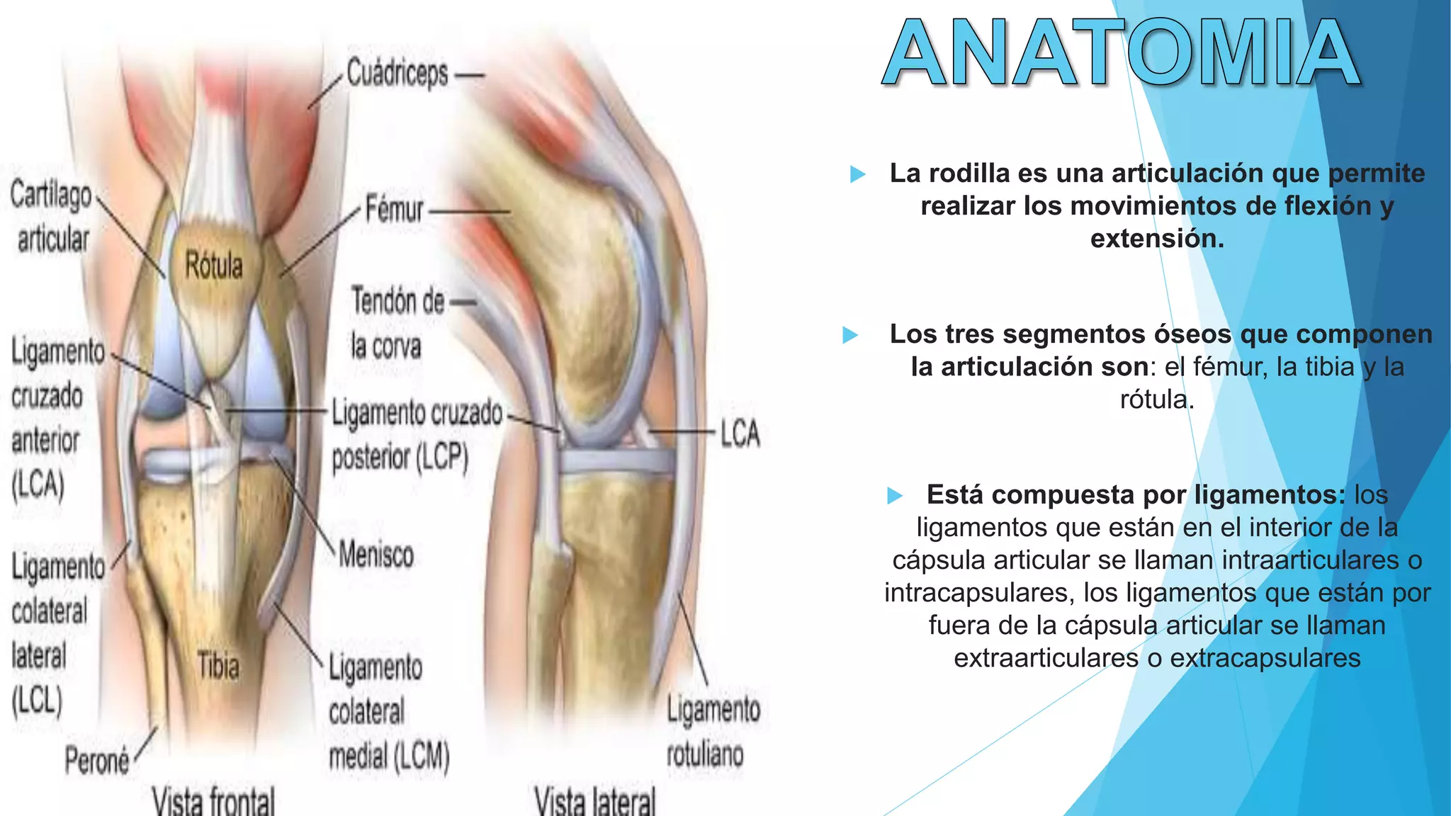 REEMPLAZO TOTAL DE RODILLA Y PLATILLOS TIBIALES | PPTX