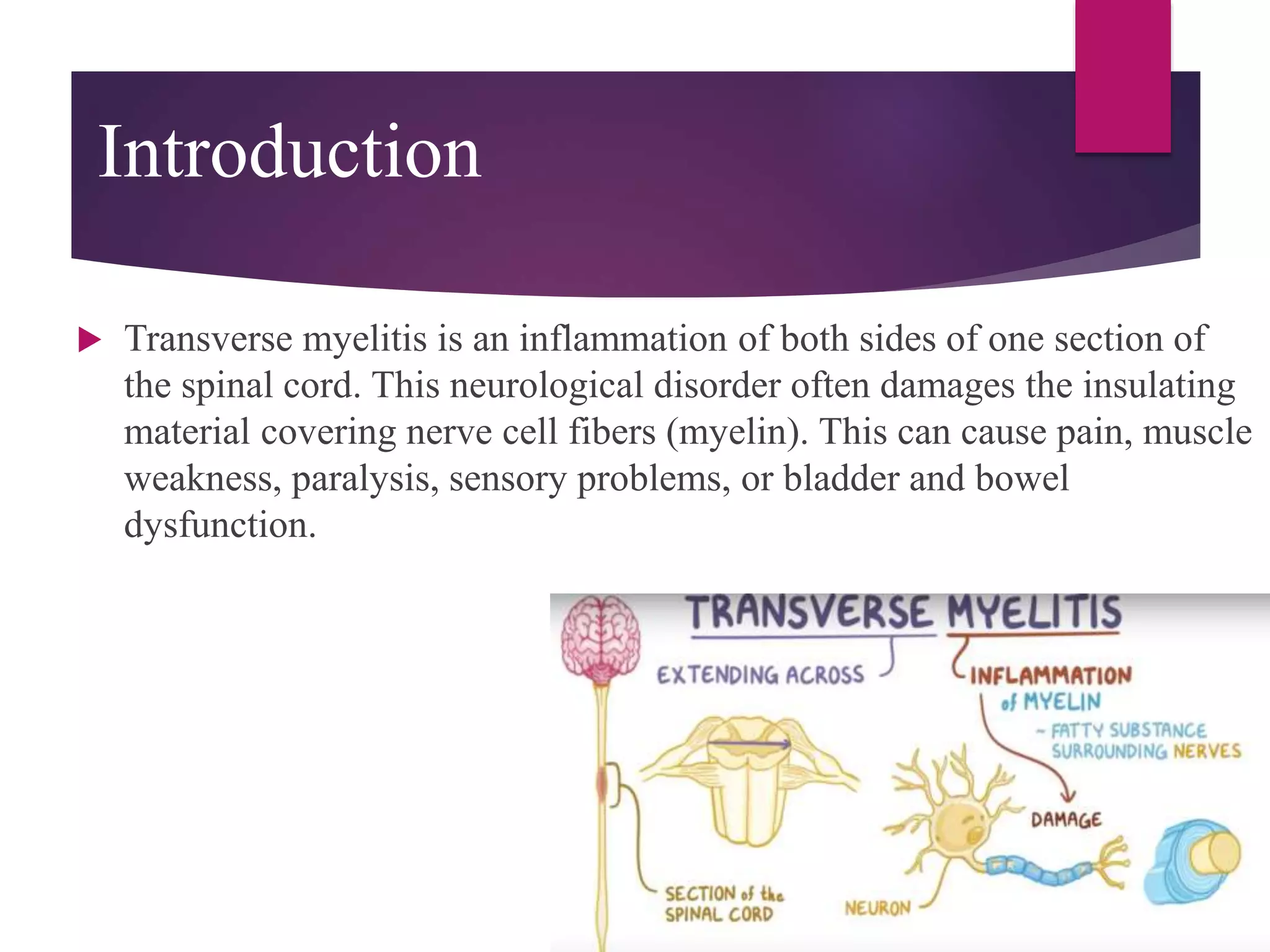 Transverse myelitis | PPTX