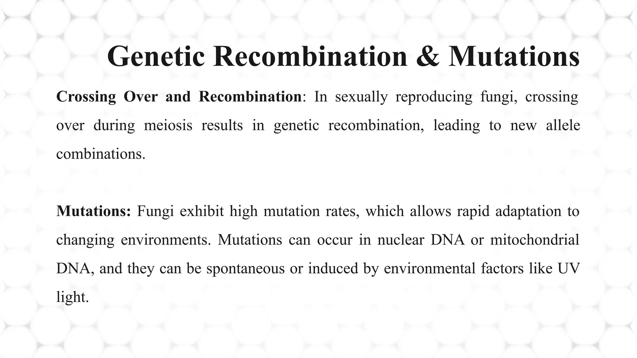 Fungal Genetics : Unlocking the Secrets of Fungal Genetics: From Model Organisms to Medical ...