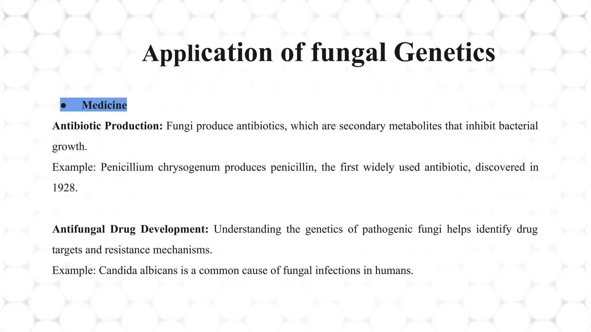 Fungal Genetics : Unlocking the Secrets of Fungal Genetics: From Model ...