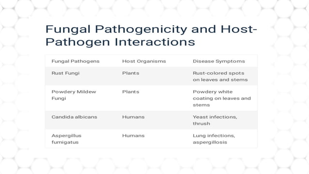 Fungal Genetics : Unlocking the Secrets of Fungal Genetics: From Model ...