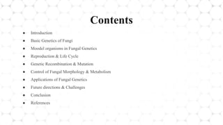 Fungal Genetics : Unlocking the Secrets of Fungal Genetics: From Model ...