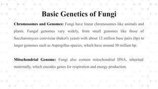 Fungal Genetics : Unlocking the Secrets of Fungal Genetics: From Model ...