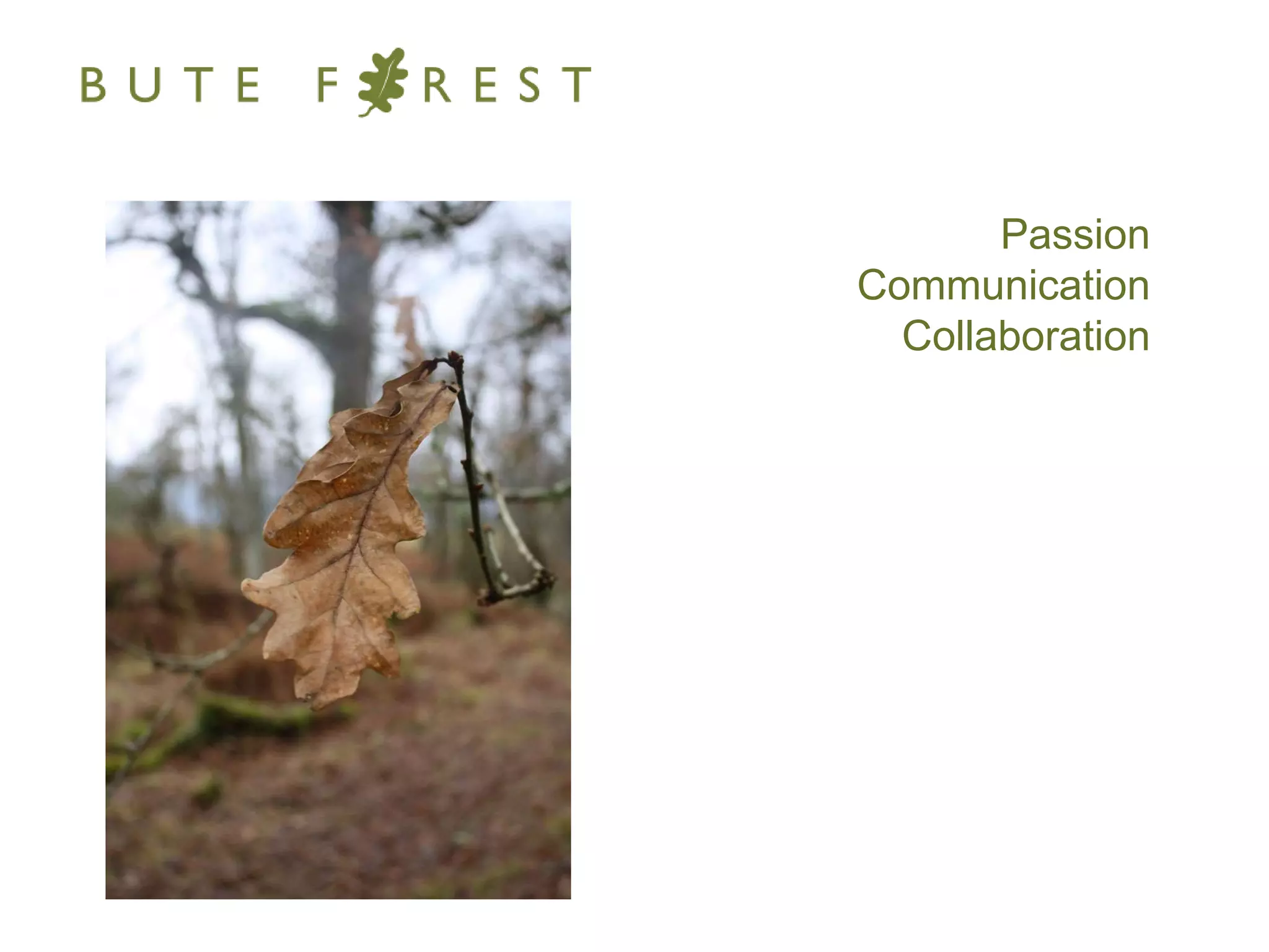 AGM Slides | PPTX