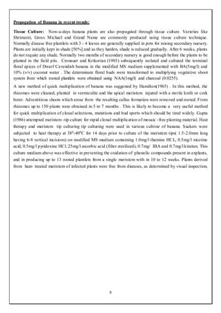 Reeti 656 banana cultivation | DOCX