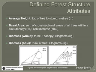 Reeves: Modelling & Estimating Forest Structure Attributes Using LiDAR ...