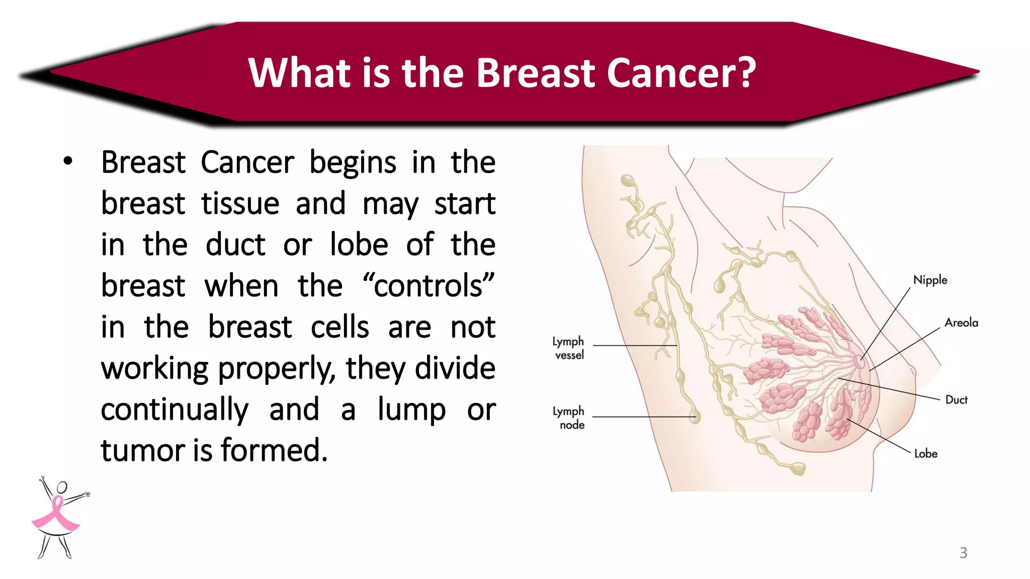 Breast Cancer Diagnosis using a Hybrid Genetic Algorithm for Feature Selection based on Mutual ...