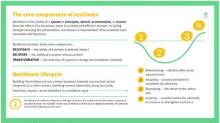 ReFace_Roadmap for resilient regions.pptx