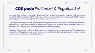 Cdk.pptx
