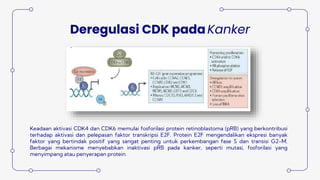 Cdk.pptx