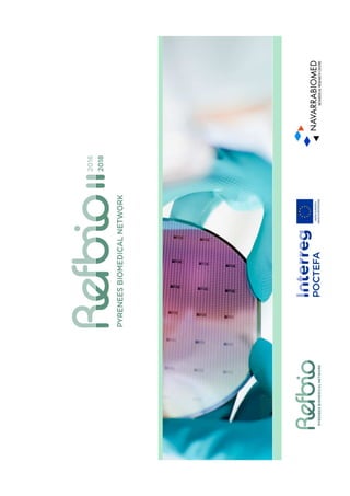 Vincent Lubrano | PDF