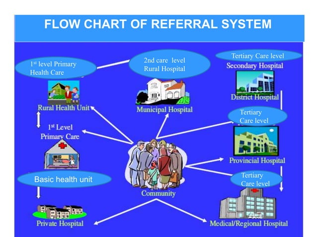 Referal system ppt (presntation lecture) | PPTX | Healthcare Industry ...