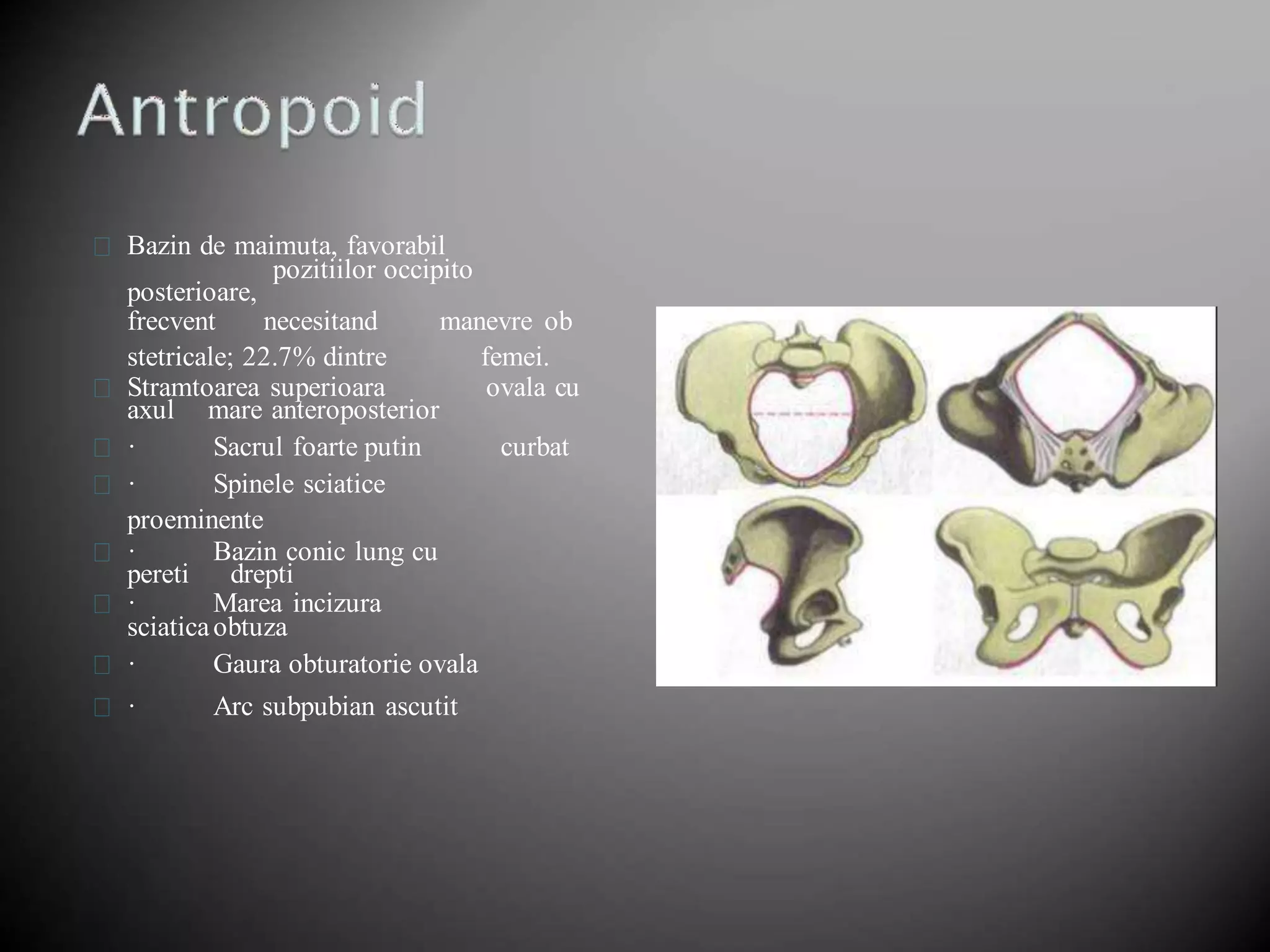 Referat - Bazinul Osos.docx