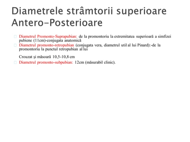 Referat - Bazinul Osos.docx