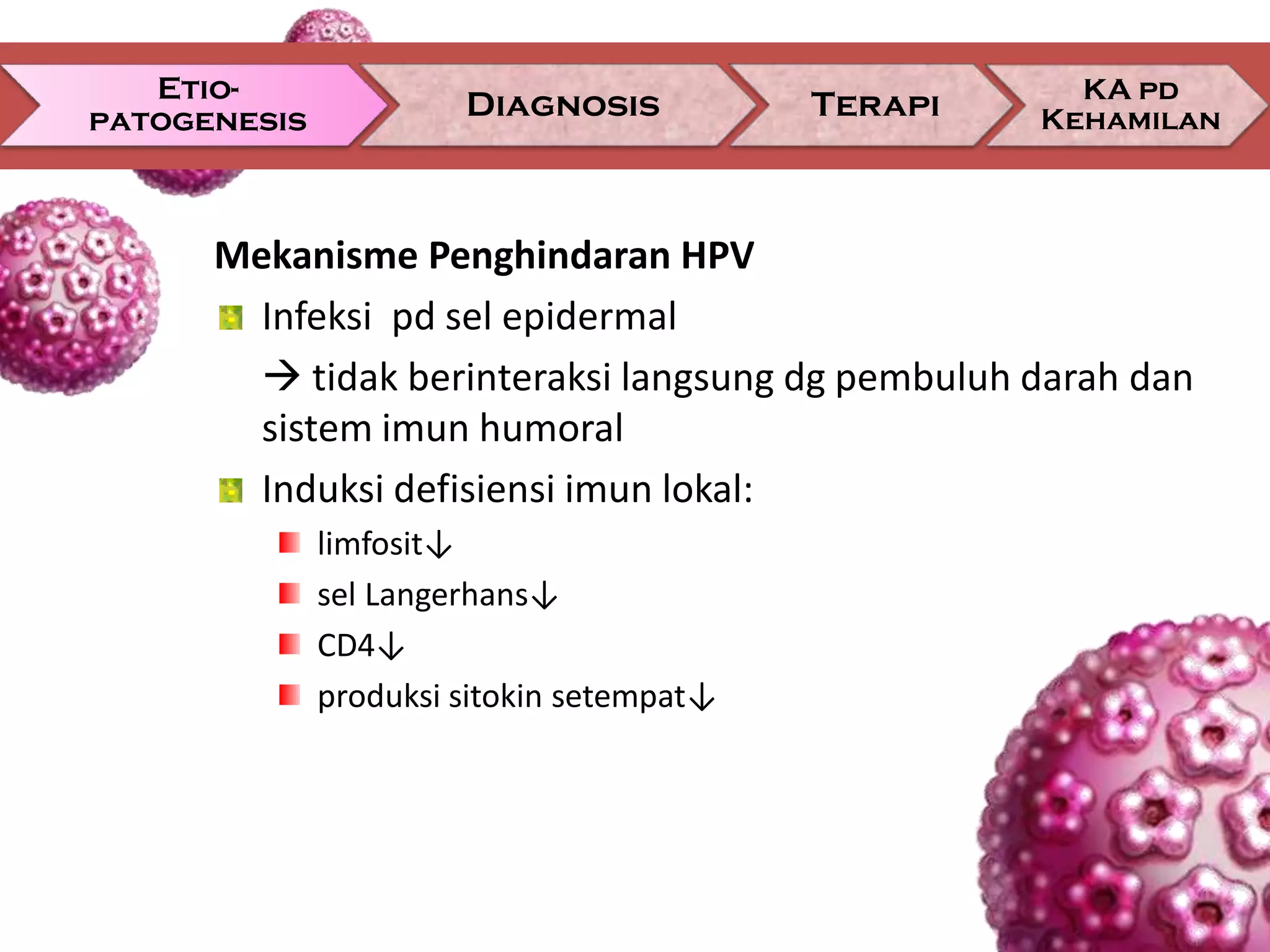 PRESENTATION kondiloma akuminata | PDF