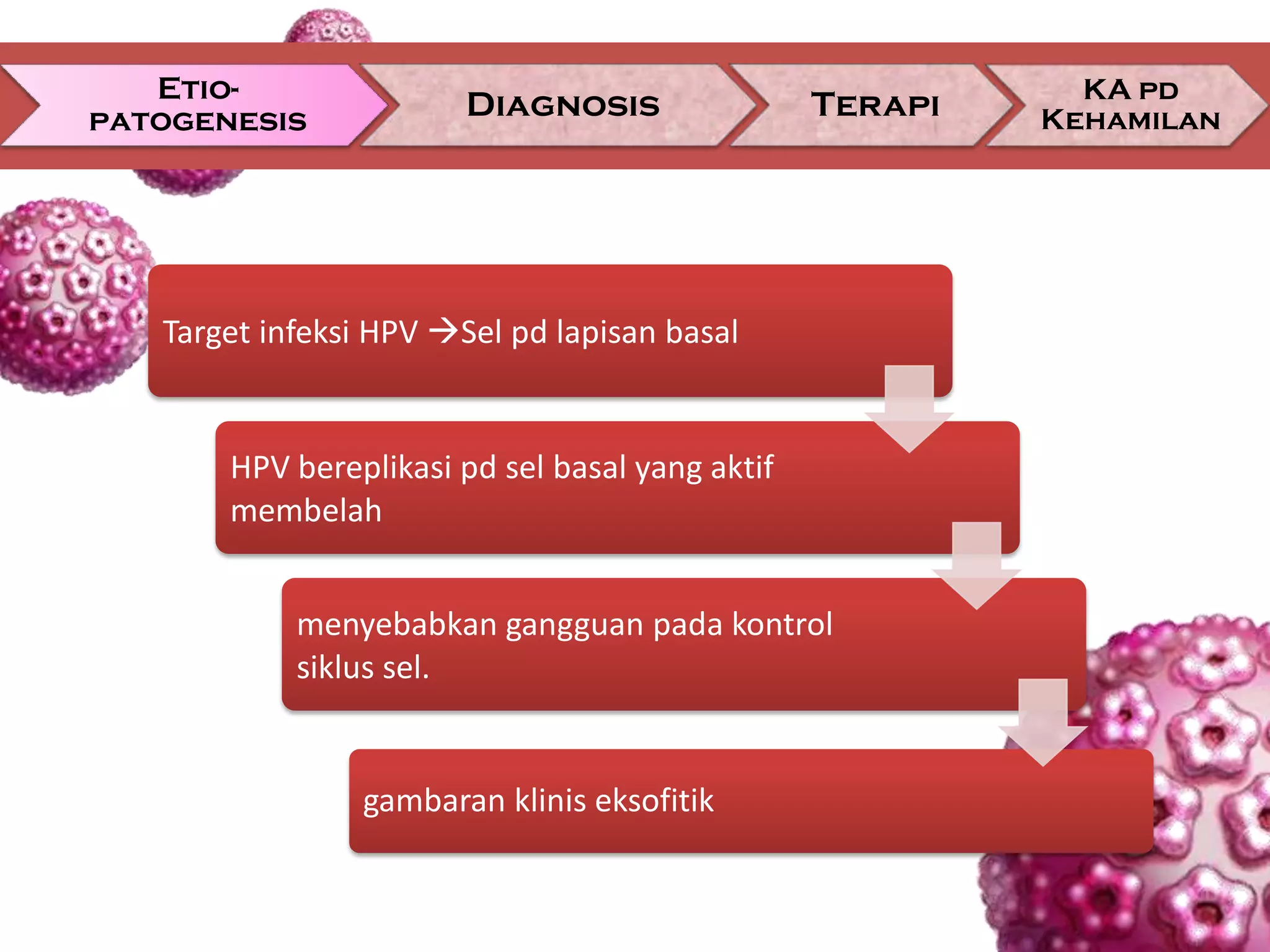 PRESENTATION kondiloma akuminata | PDF
