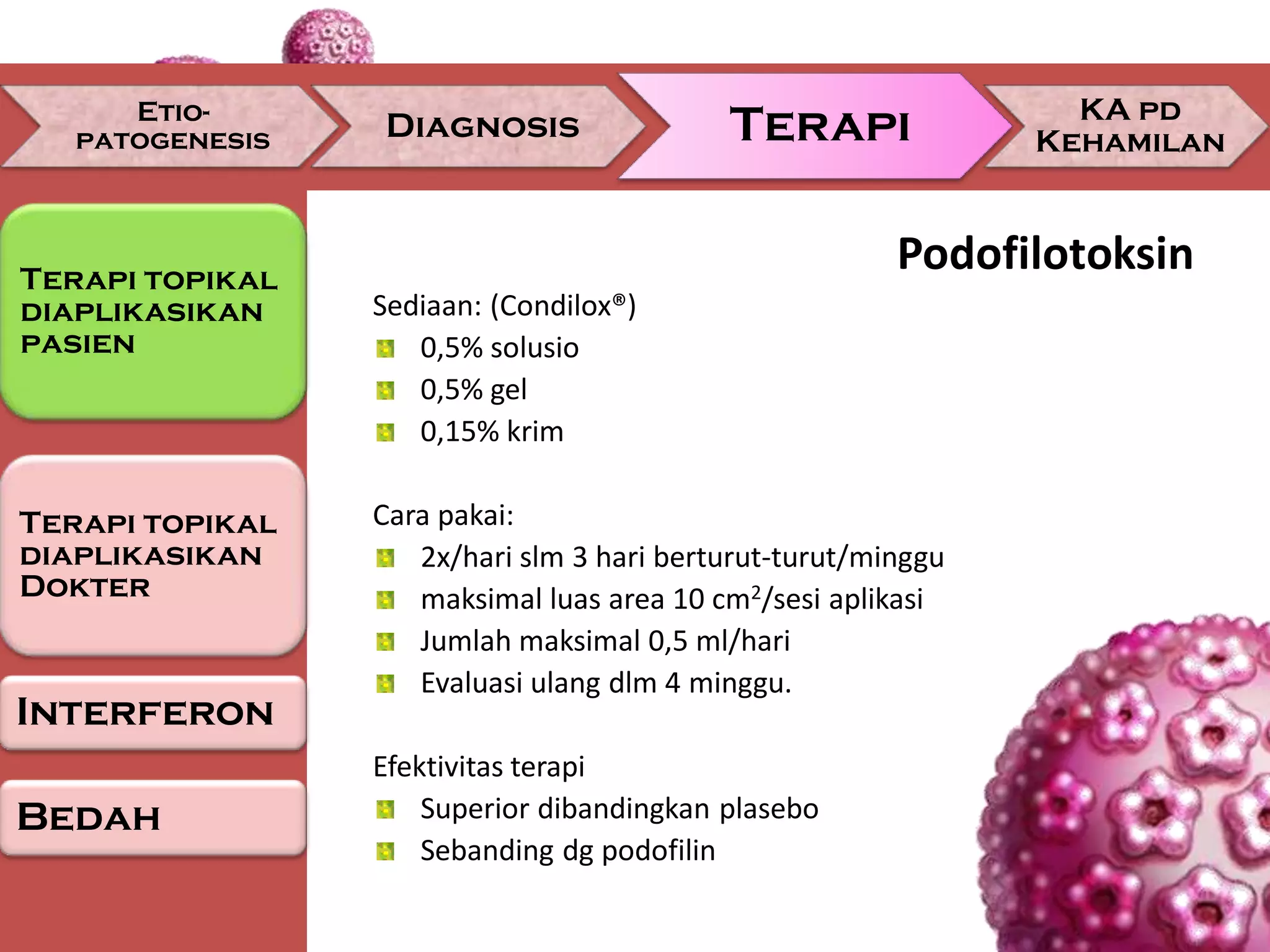 PRESENTATION kondiloma akuminata | PDF