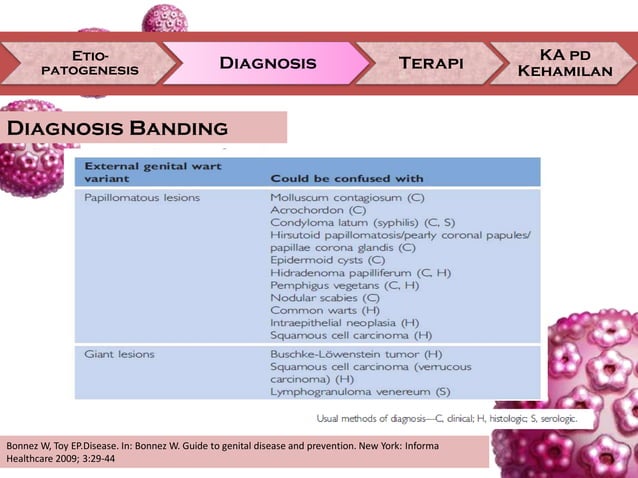 PRESENTATION kondiloma akuminata | PDF