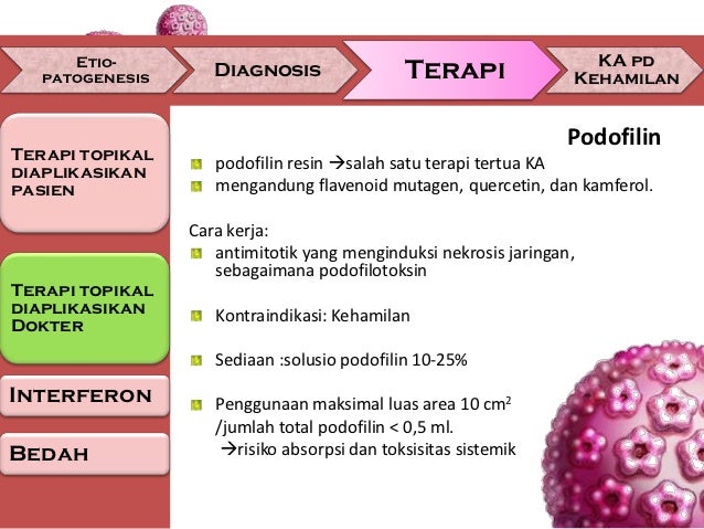 PRESENTATION kondiloma akuminata