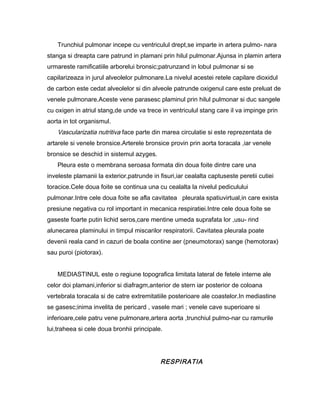 Referat anatomie | DOC