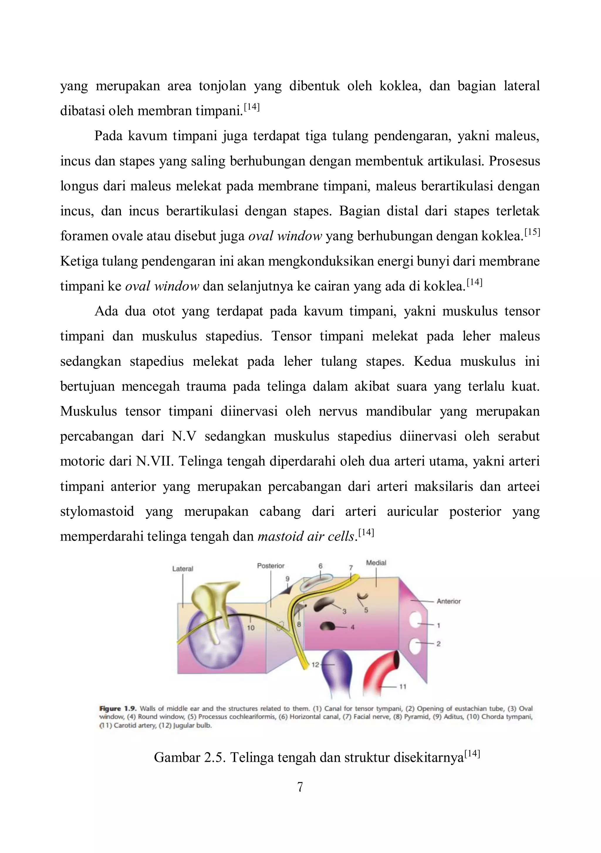 Referat Anatomi Telinga, Fisiologi Pendengaran dan Pemeriksaan Fisik ...