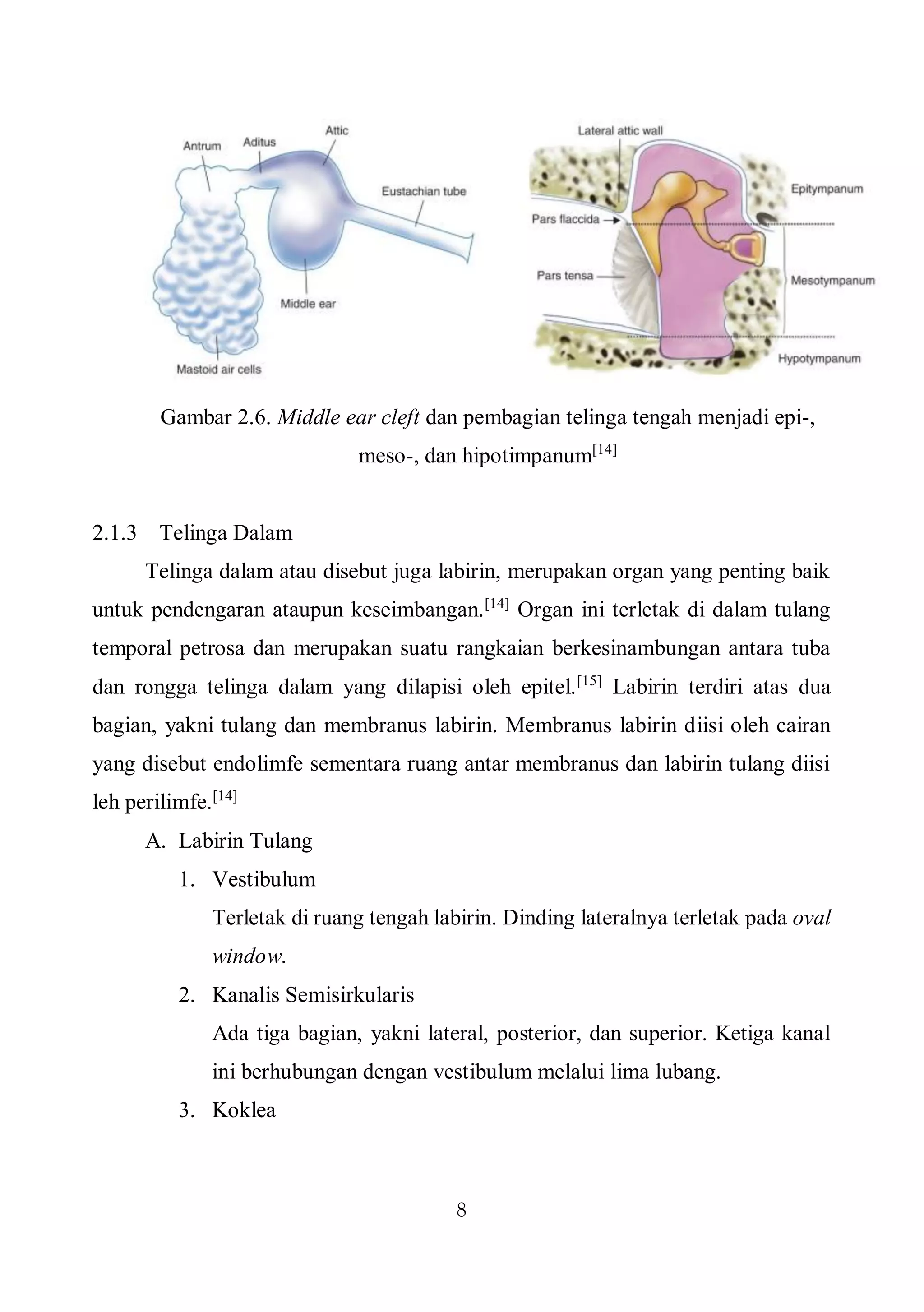 Referat Anatomi Telinga, Fisiologi Pendengaran dan Pemeriksaan Fisik ...