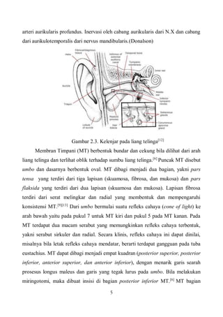 Referat Anatomi Telinga, Fisiologi Pendengaran dan Pemeriksaan Fisik ...