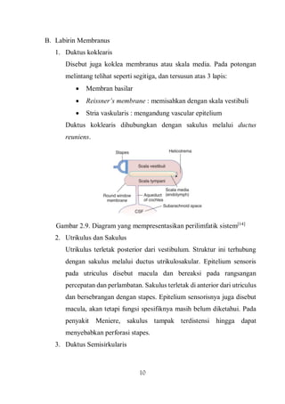 Referat Anatomi Telinga, Fisiologi Pendengaran dan Pemeriksaan Fisik ...