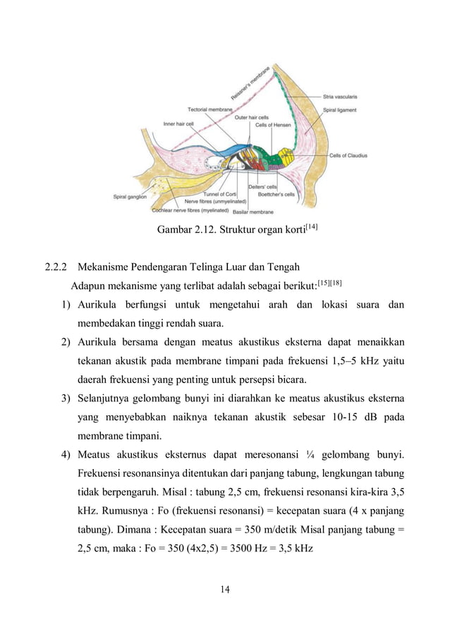 Referat Anatomi Telinga, Fisiologi Pendengaran dan Pemeriksaan Fisik THT-KL Pada Telinga | PDF