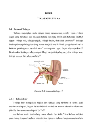Referat Anatomi Telinga, Fisiologi Pendengaran dan Pemeriksaan Fisik ...
