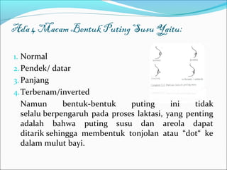 Referatasi presentation1 | PPT