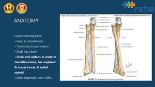 Referat Hand 2- Distal Radius Fracture-Reza Devianto Hambali, dr.pptx