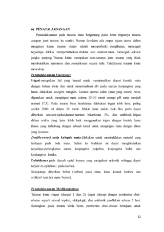 Referat kegawatdaruratan mata | DOCX