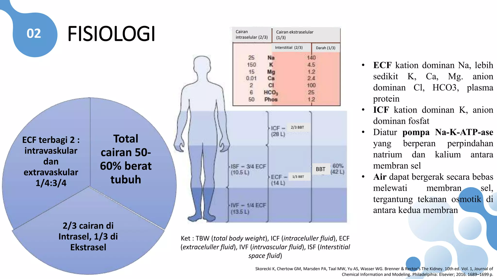 Referat Manajemen hiponatremia & hipokalemia - iqbal.pptx